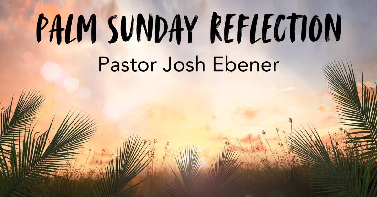 Palm Sunday Reflection | Northern Illinois Synod